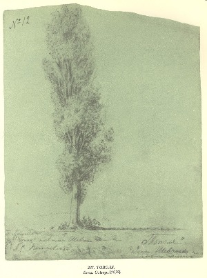 Taras Shevchenko, poem "The poplar" (Translated by С.H. Andrusyshen and ...